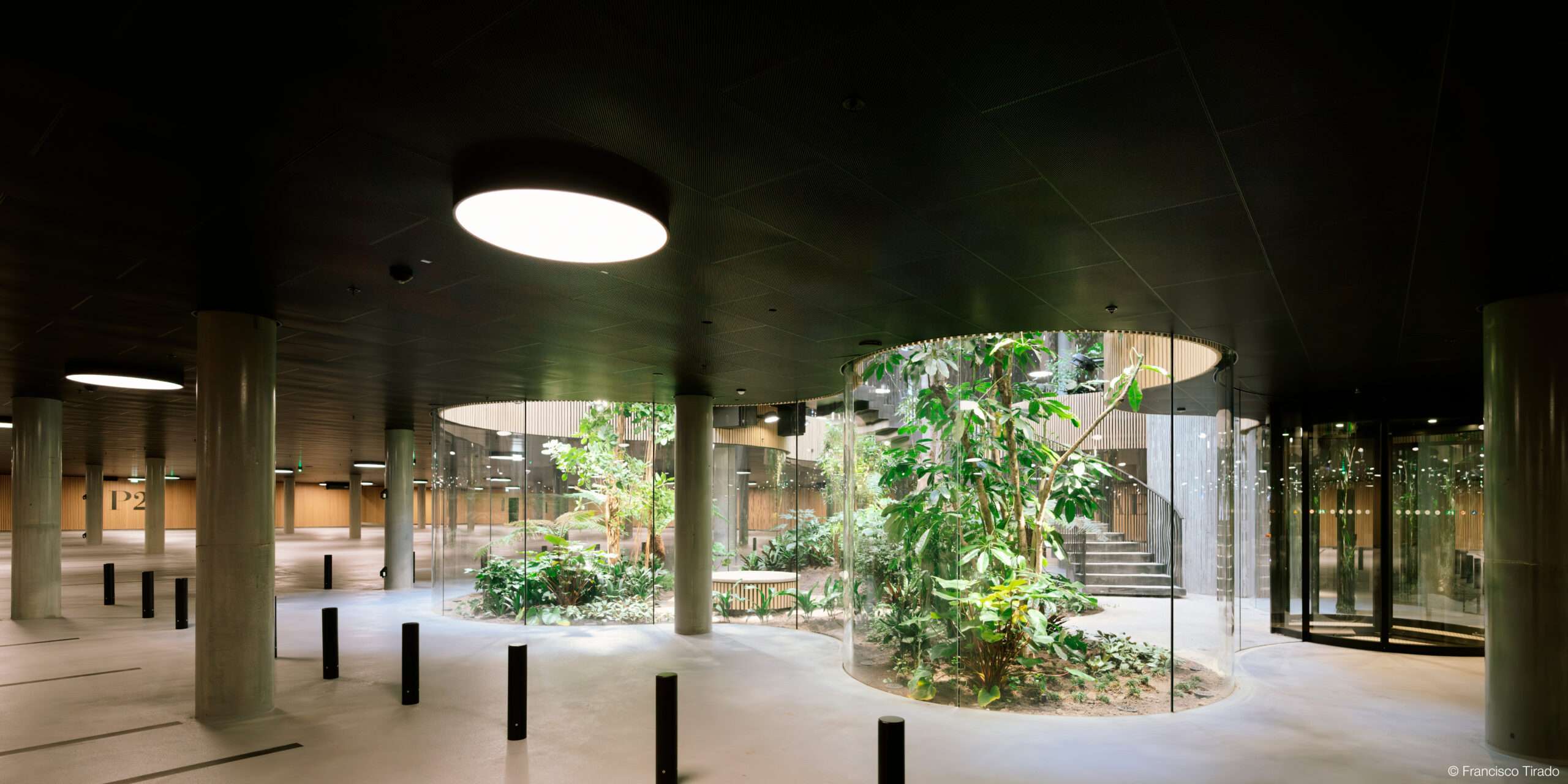 The Opera Park | DAMPA