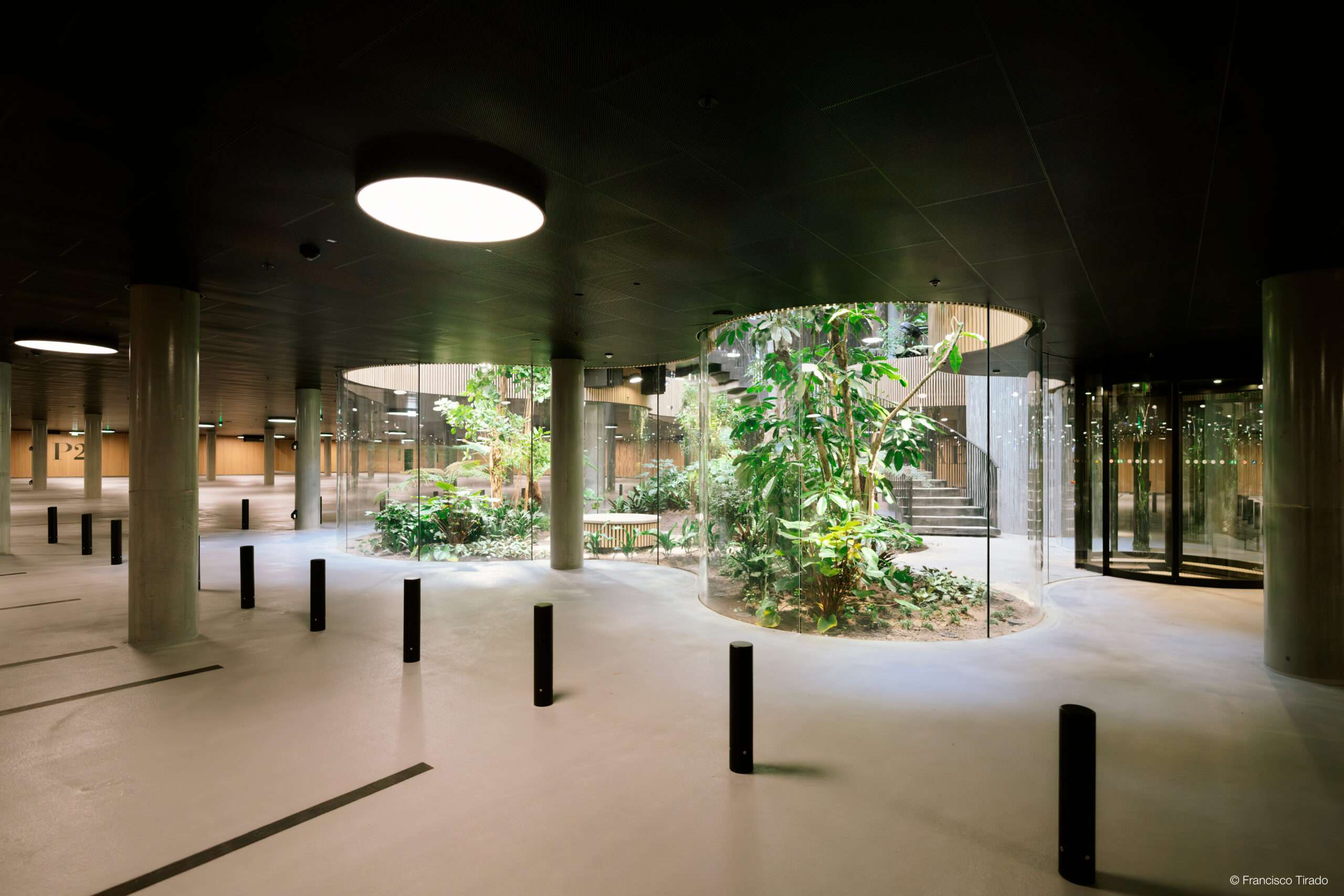 DAMPA® Clip-In Custom Tile | DAMPA