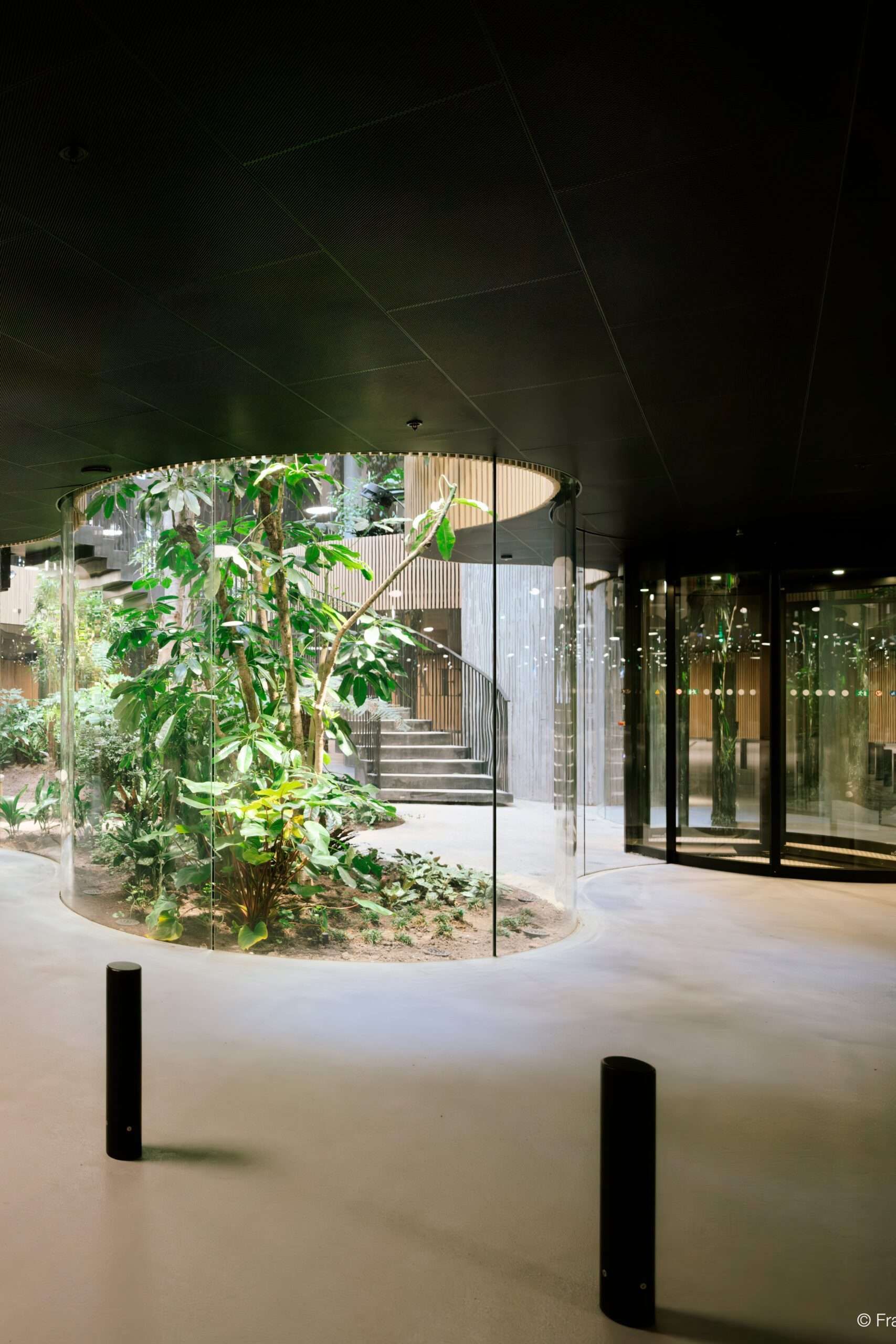 The Opera Park | DAMPA