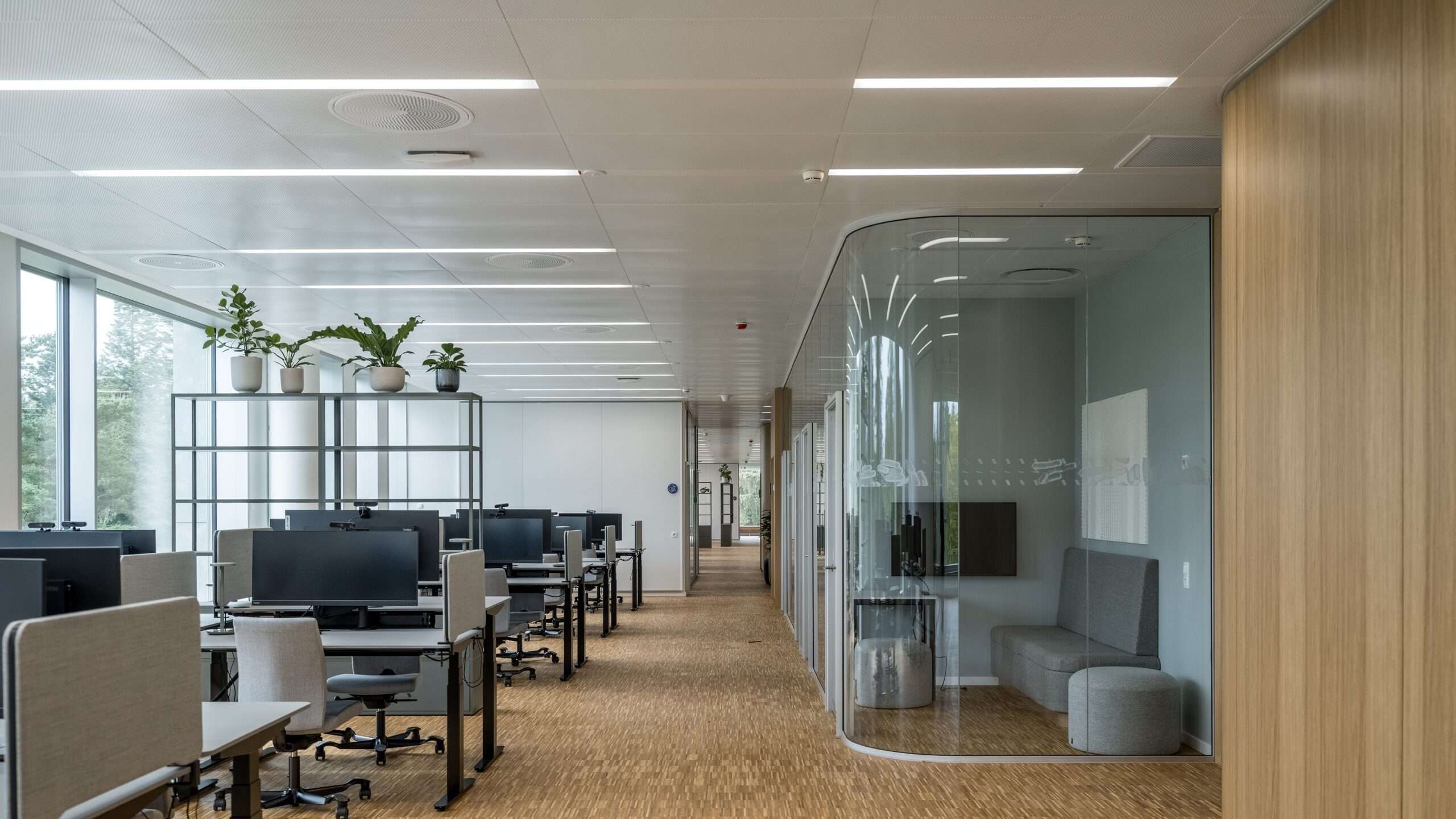 Office & Domicile | DAMPA